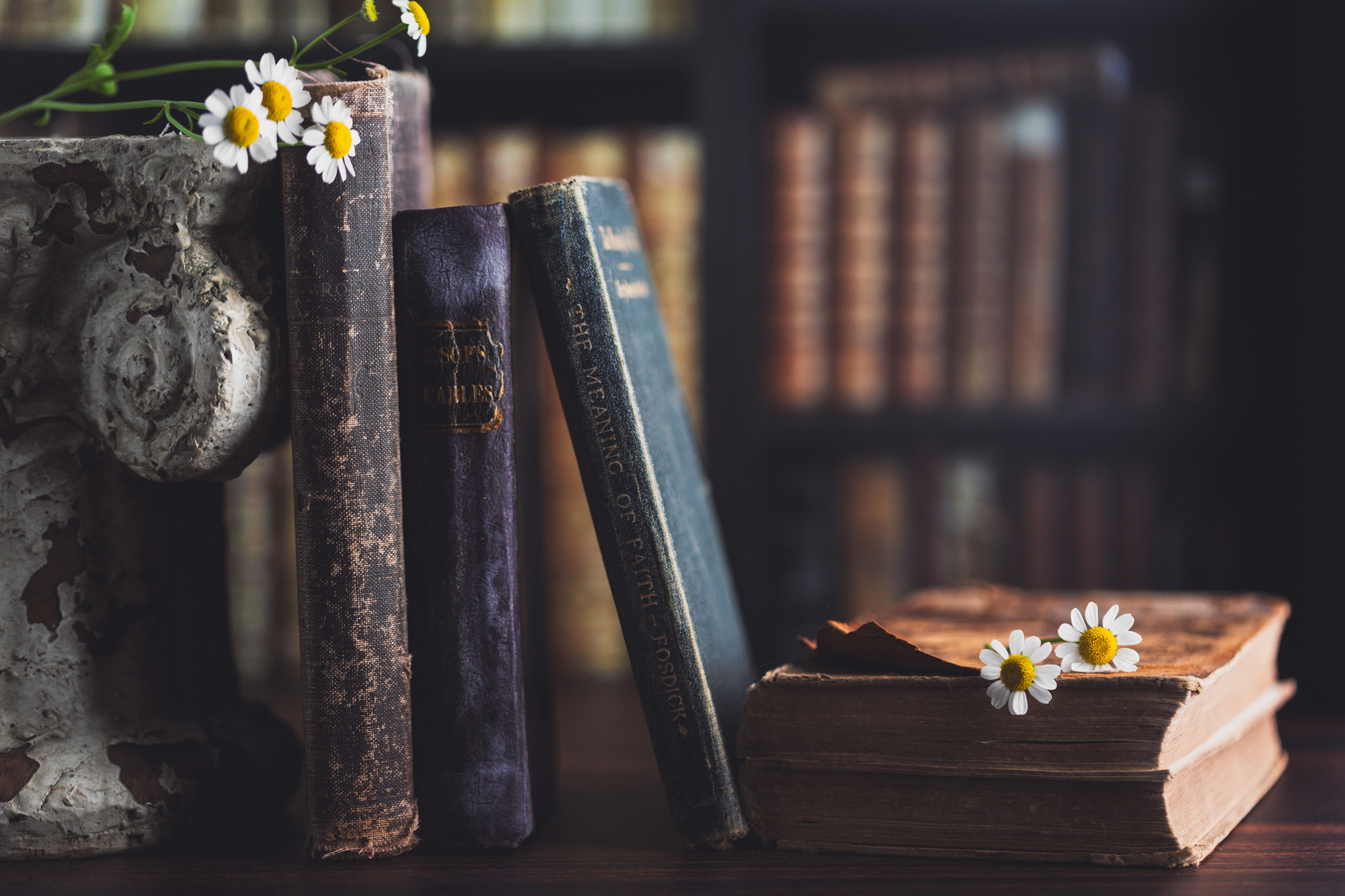 Favorite Books of 2024 - Photography by DiAnna Paulk